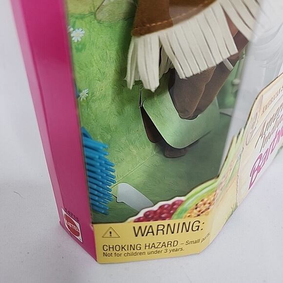 Mattel | Toys | 995 American Indian Barbie Stories Collection 14715 ...